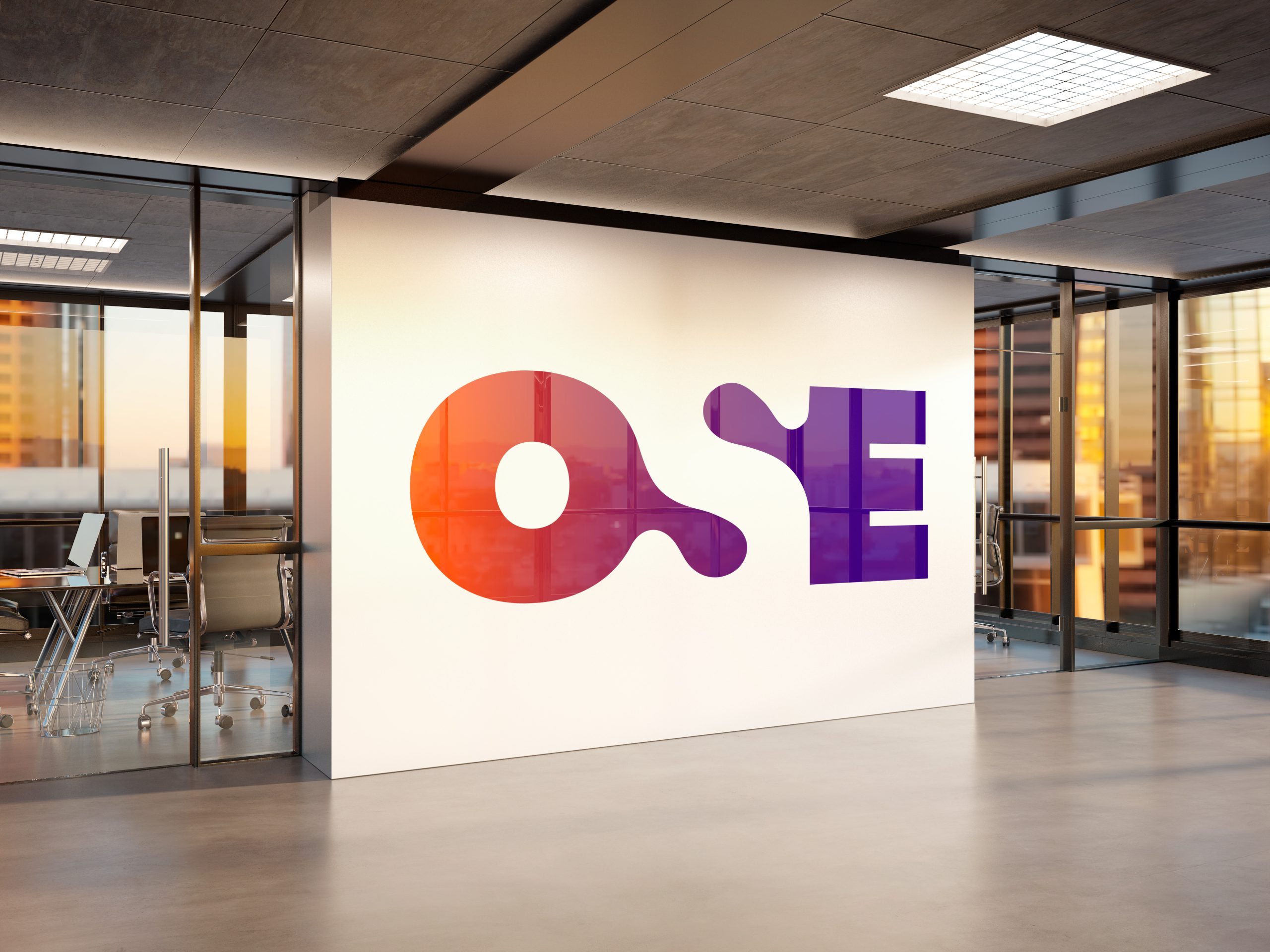 OSE - Conseils et Solutions Personnalisées pour votre Entreprise